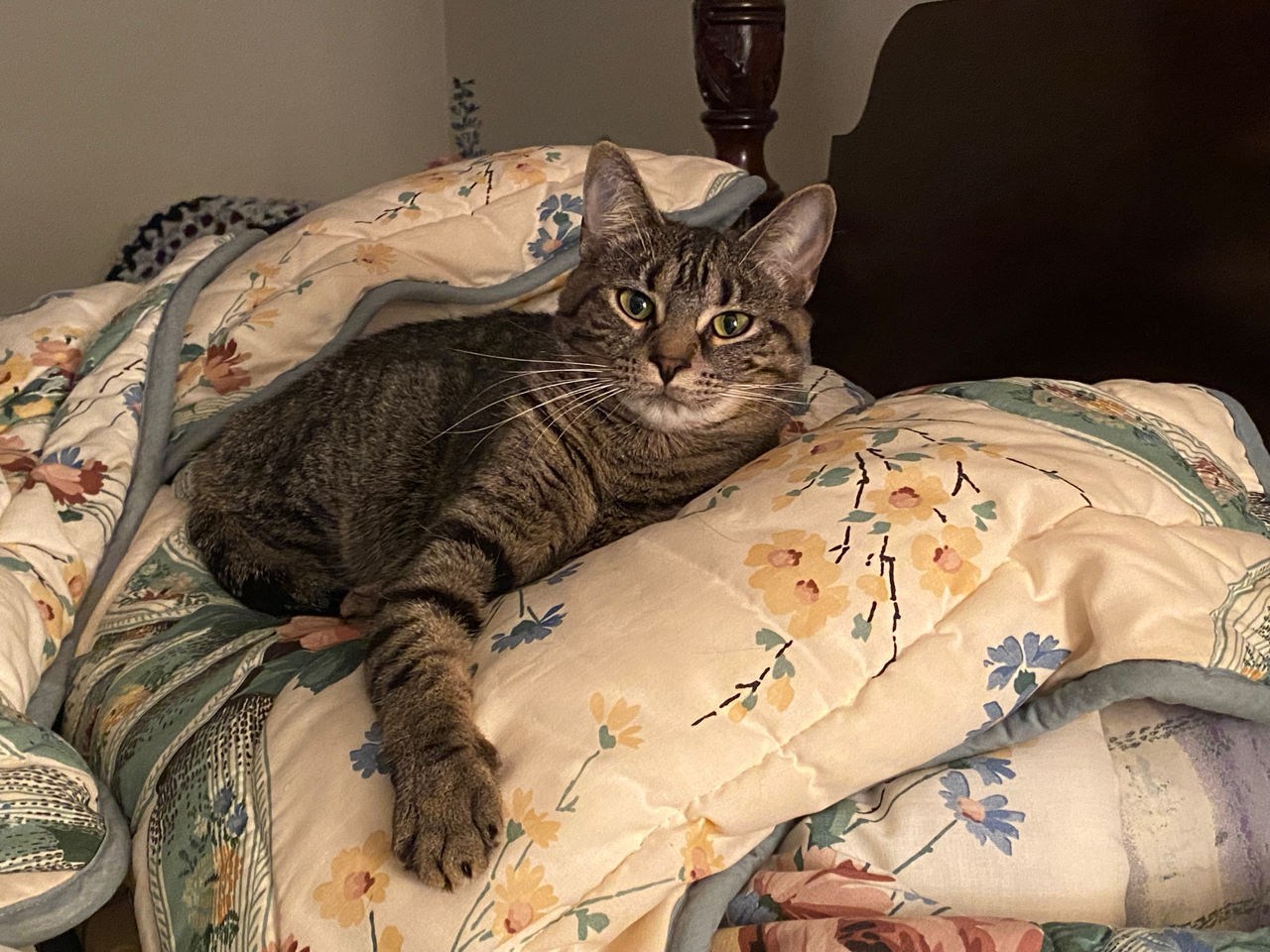 LuLu Kitty’s Favorite Spots – IN MY VIEWFINDER