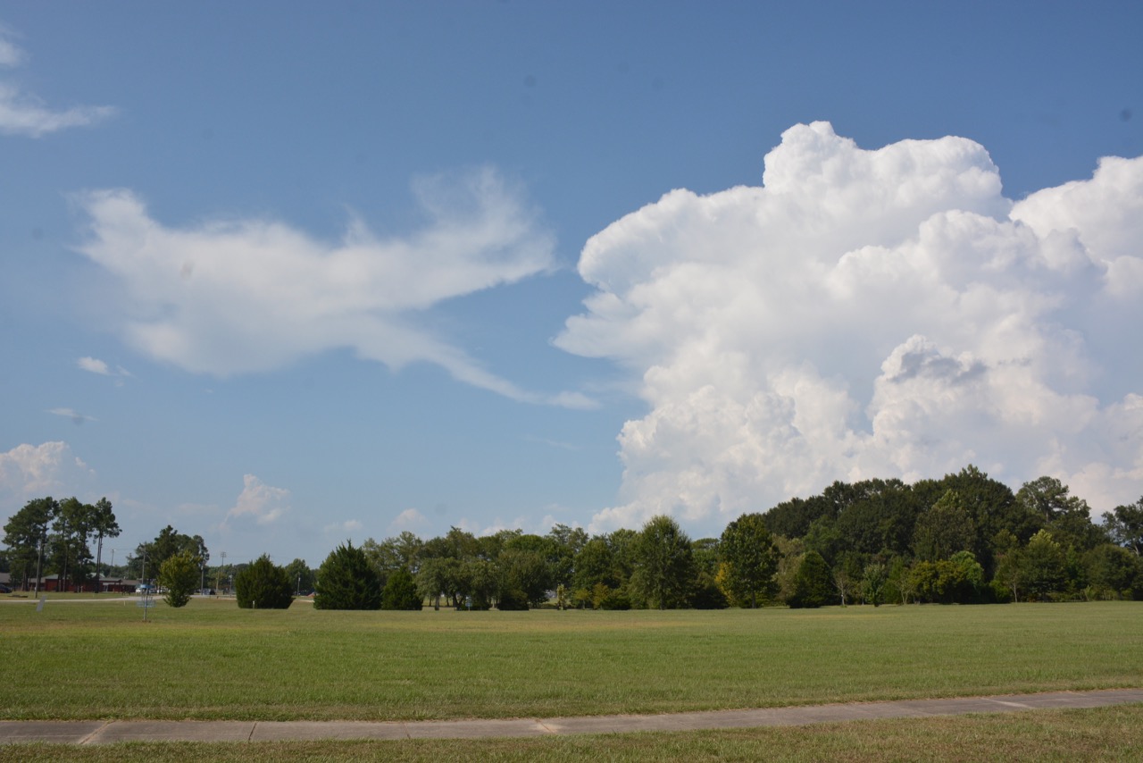 Tall Cloud Structure – IN MY VIEWFINDER