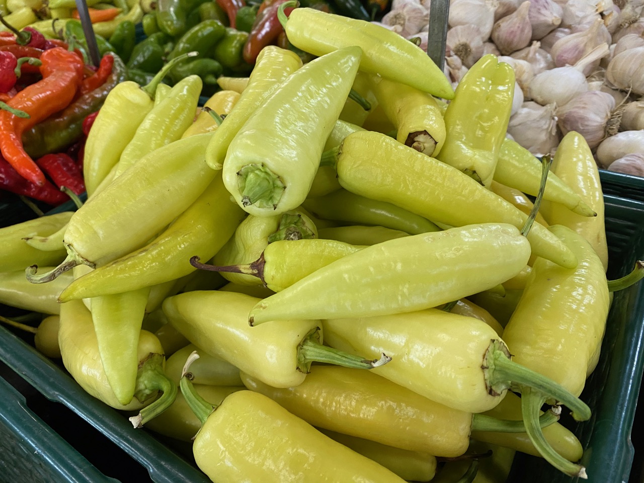 Peppers at Burris Farm Market – IN MY VIEWFINDER
