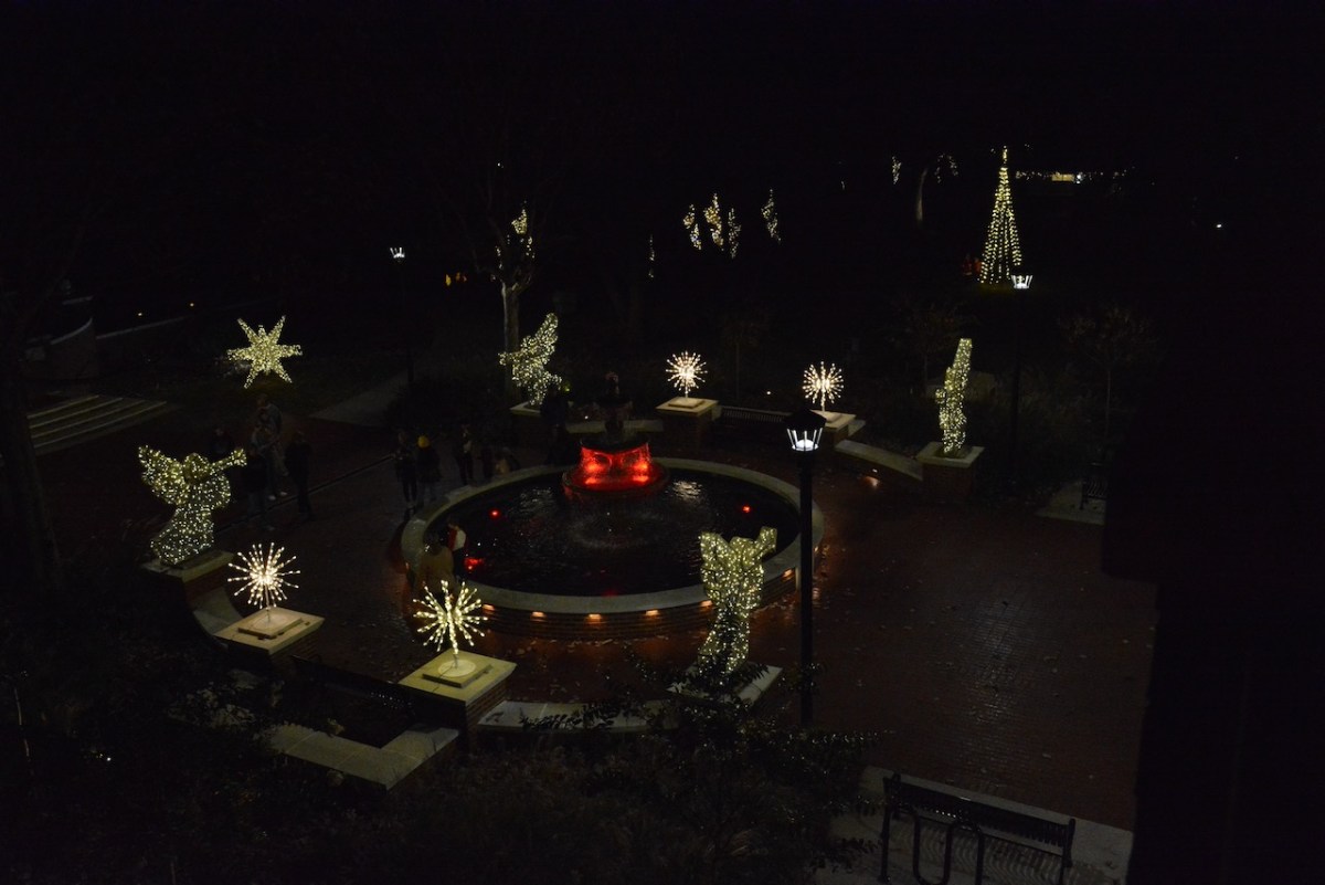 Christmas in the Foley Park – IN MY VIEWFINDER