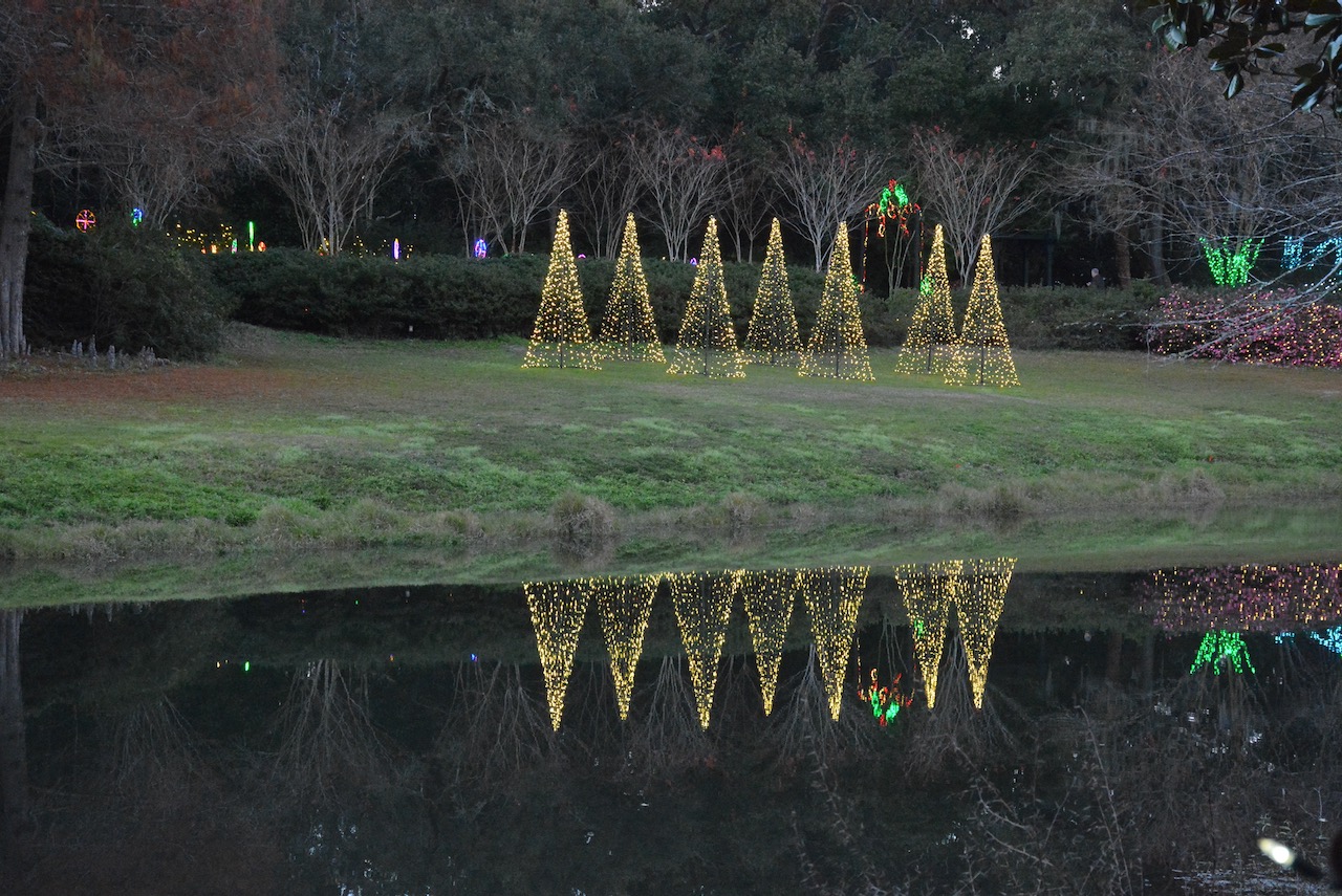Trees at Magic Christmas in Lights – IN MY VIEWFINDER