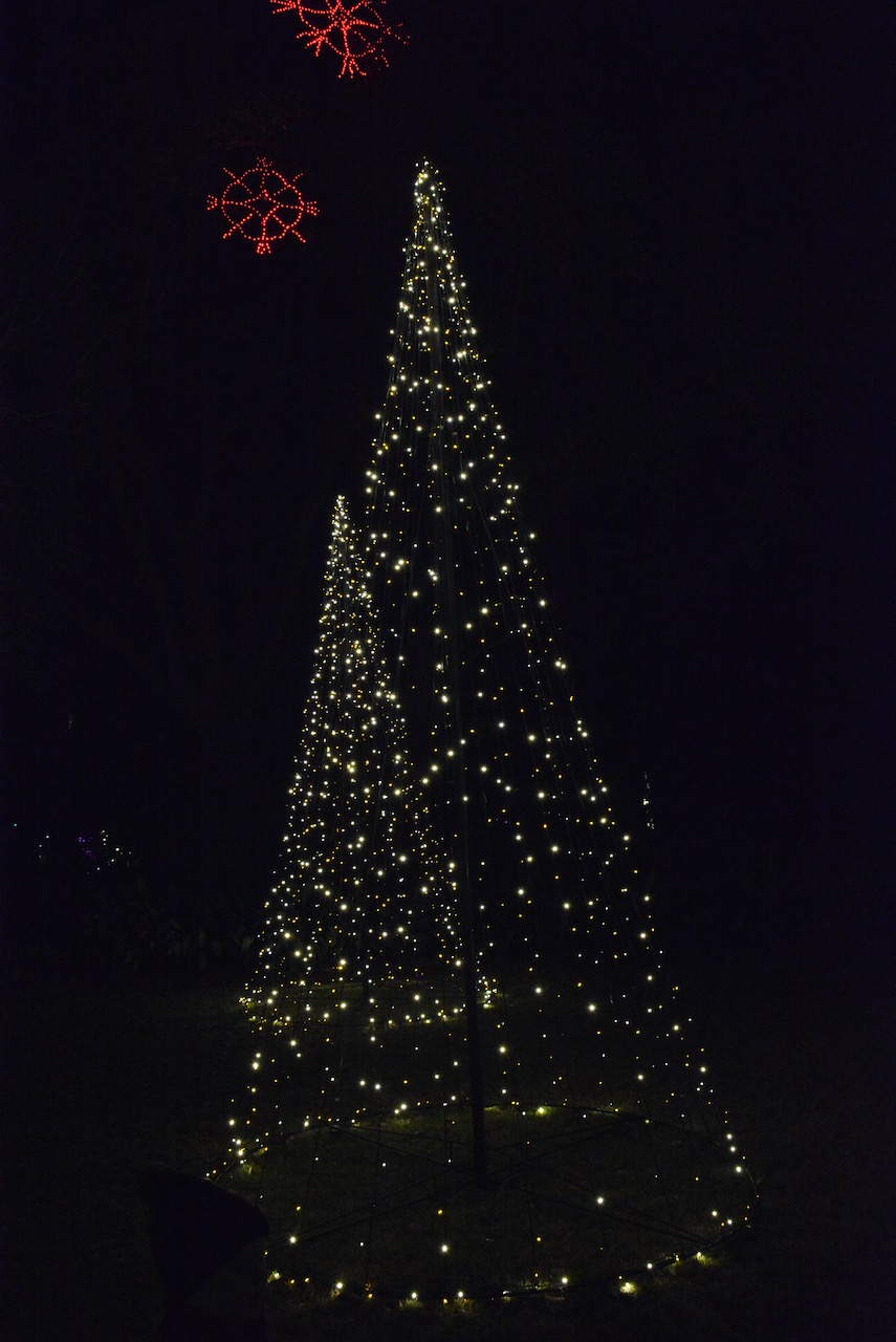 Trees at Magic Christmas in Lights – IN MY VIEWFINDER