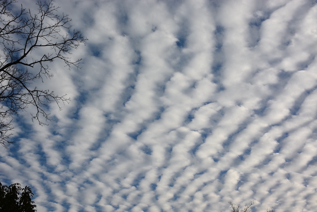 Ripple Clouds – IN MY VIEWFINDER