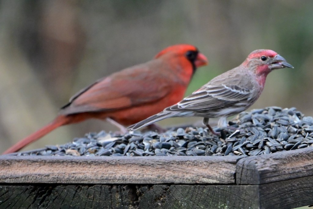 All are Welcome – IN MY VIEWFINDER