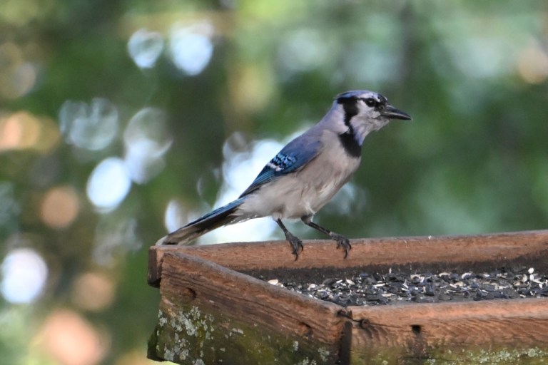 Snack Time – IN MY VIEWFINDER
